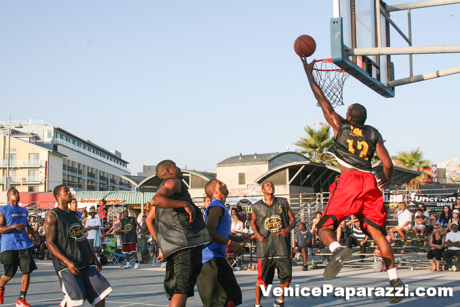 » Venice Basketball