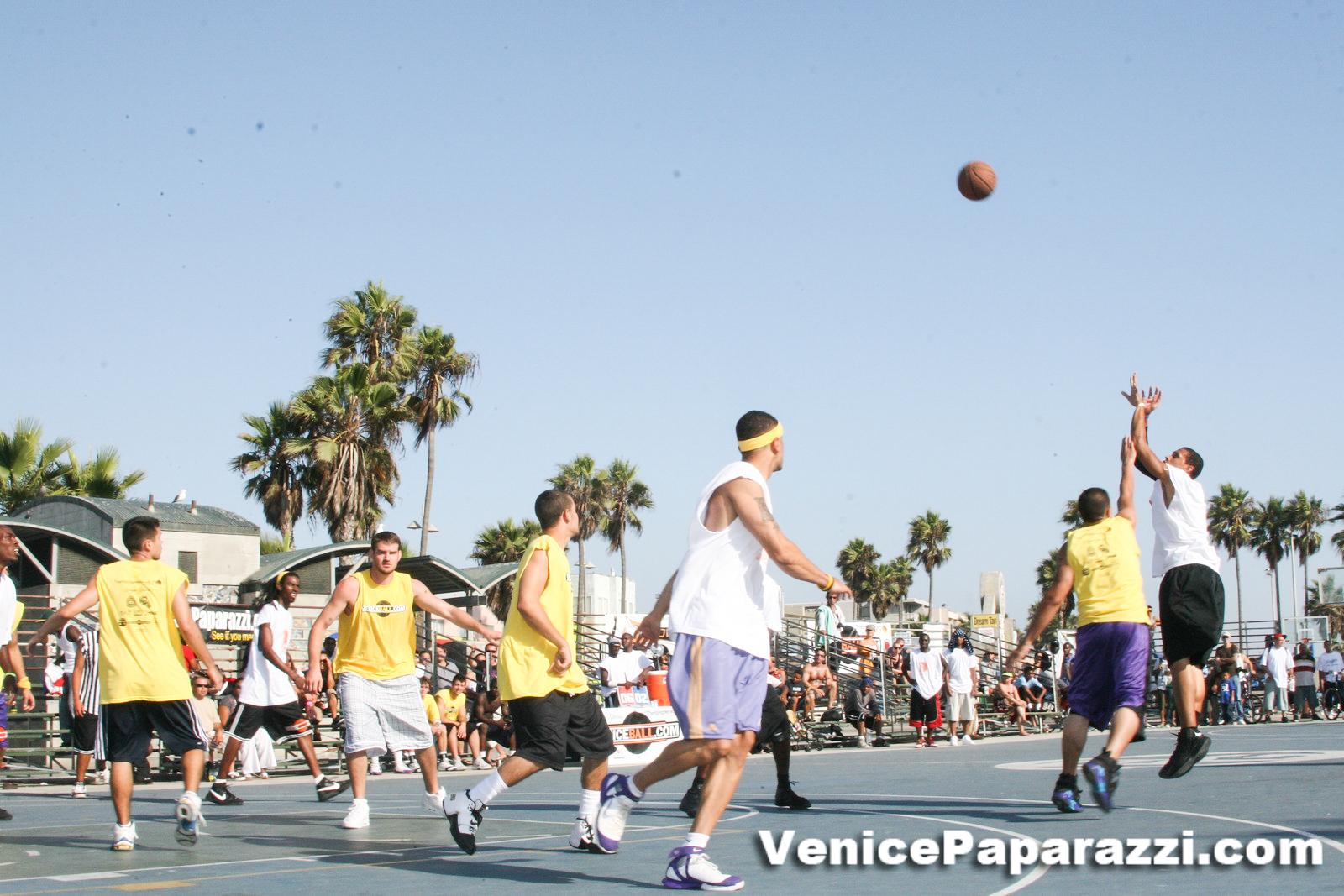 » Venice Basketball
