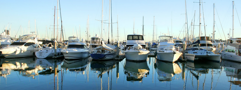 » Marina Fest
