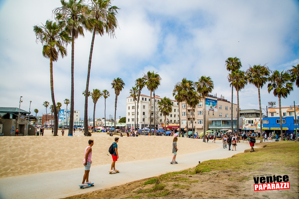 » Cruise the coast!