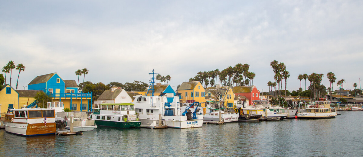 » Spend a day in the Marina del Rey!